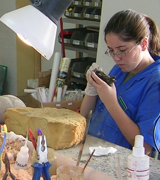 Carla Alexandra Tomás – Museu da Lourinhã