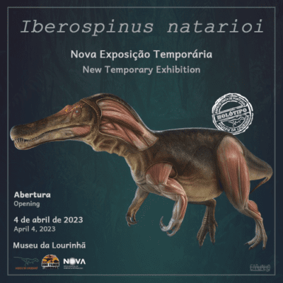 Nova Exposição Temporária: Iberospinus natarioi – Museu da Lourinhã